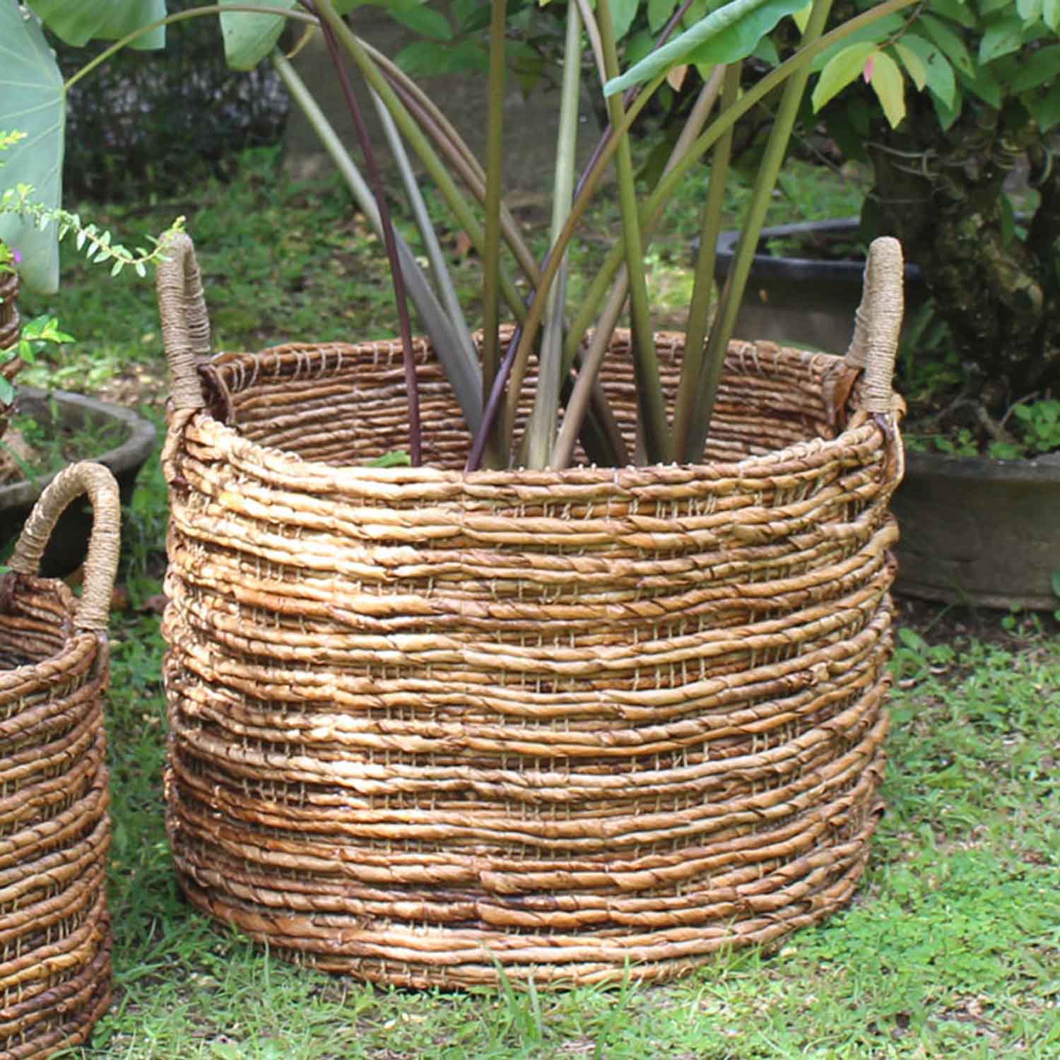 wicker basket Vina